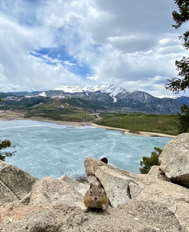 Best Things to do in Summer in Keystone & Breckenridge